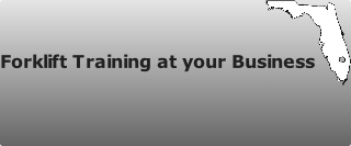 Safe View Camera System